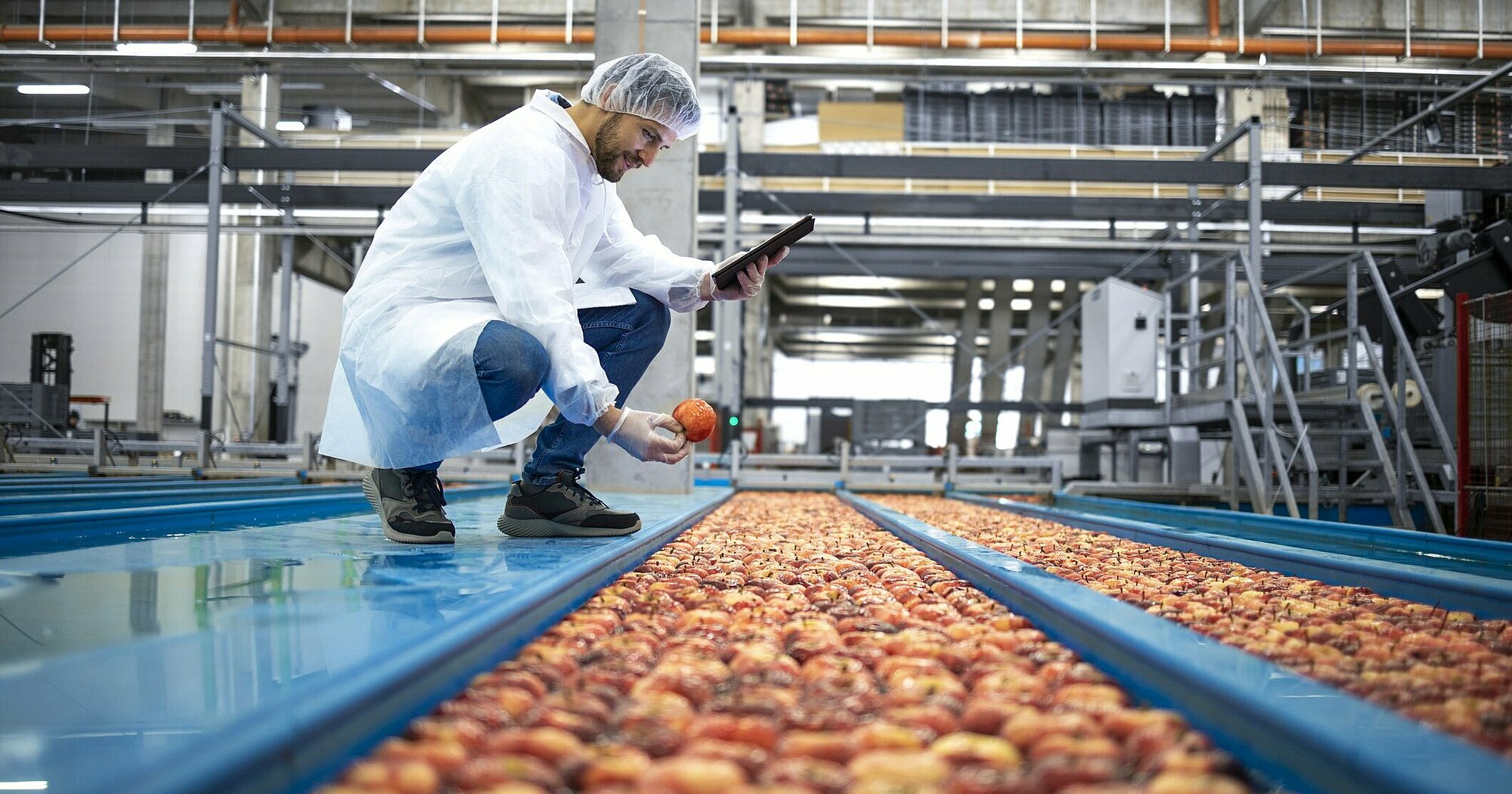 Next Tech Food Factories for the food processors of the future